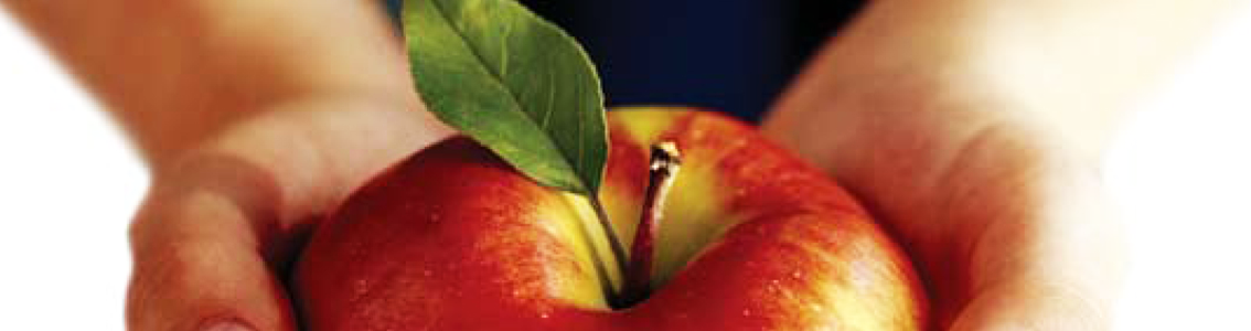 DNV HACCP Foundation Training Course