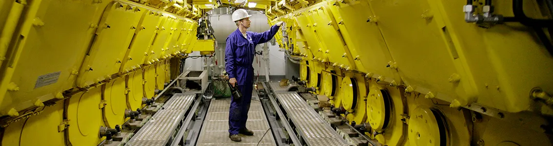 Safety and reliability assessment