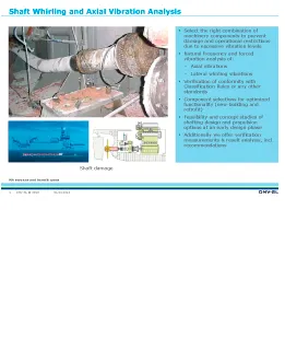 Shaft whirling and axial vibrations analysis